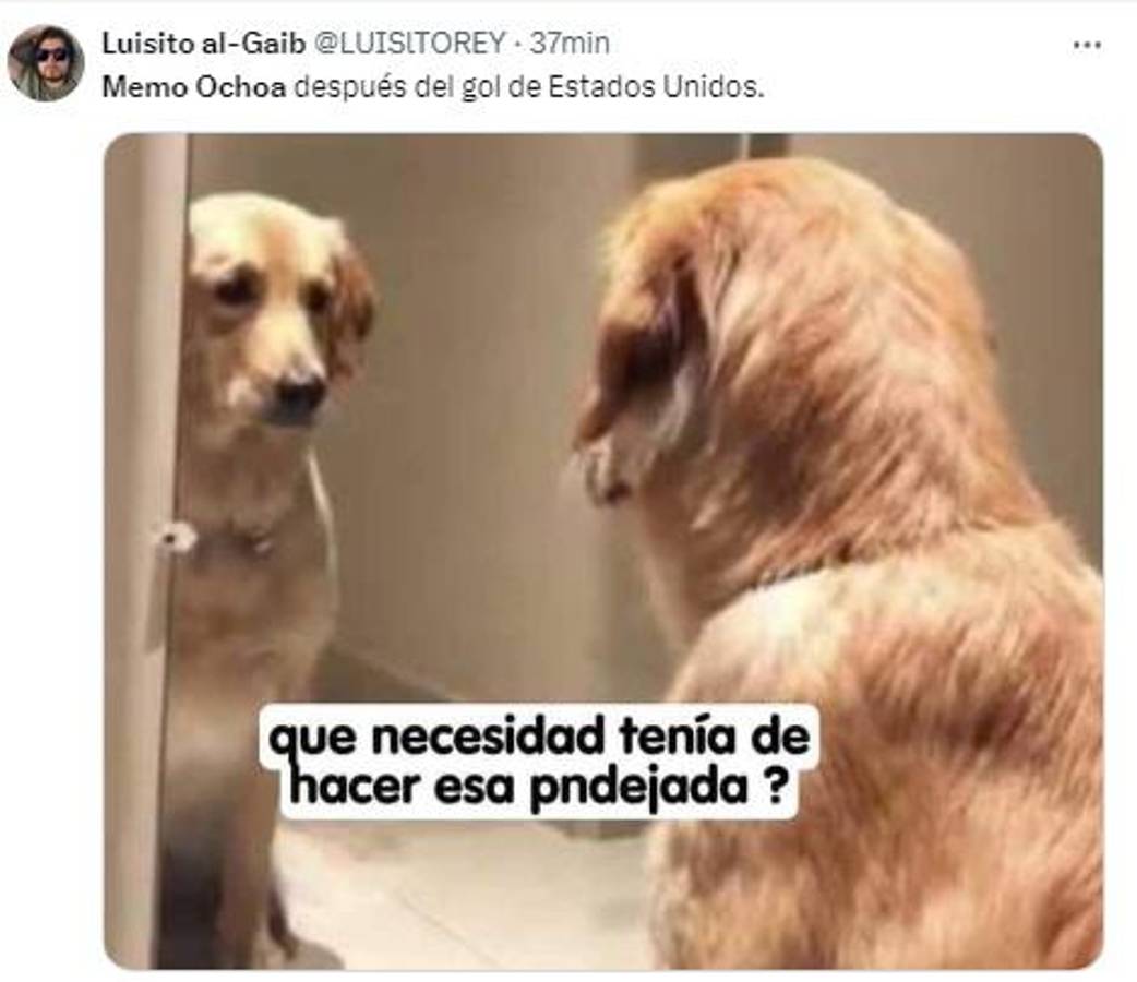 Memo Ochoa es destrozado con memes luego de la derrota de México contra ...