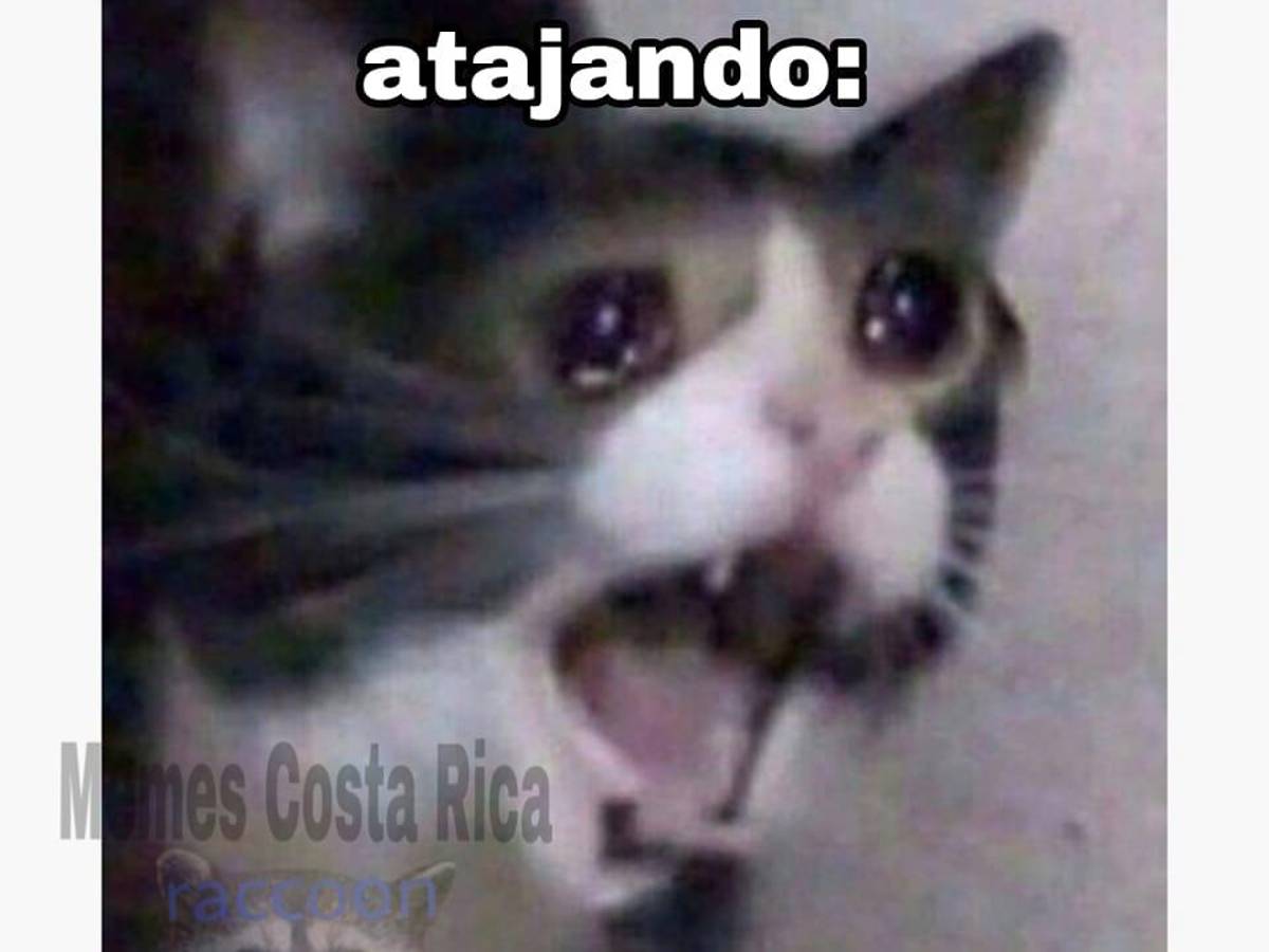 Los jocosos memes de la sorpresiva victoria de Costa Rica en el Mundial ...