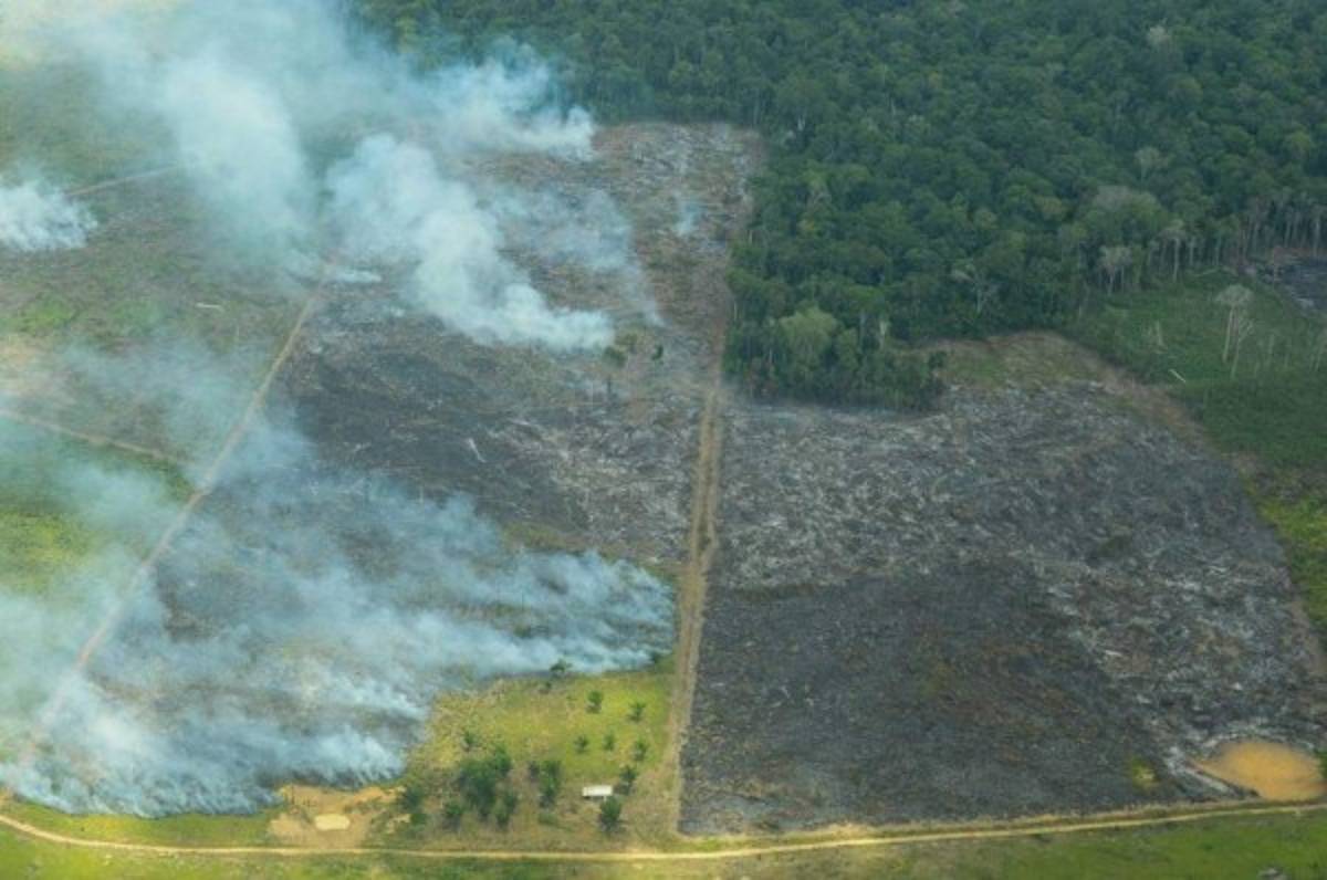 Las imágenes del terrible incendio que devora el Amazonas, el pulmón ...