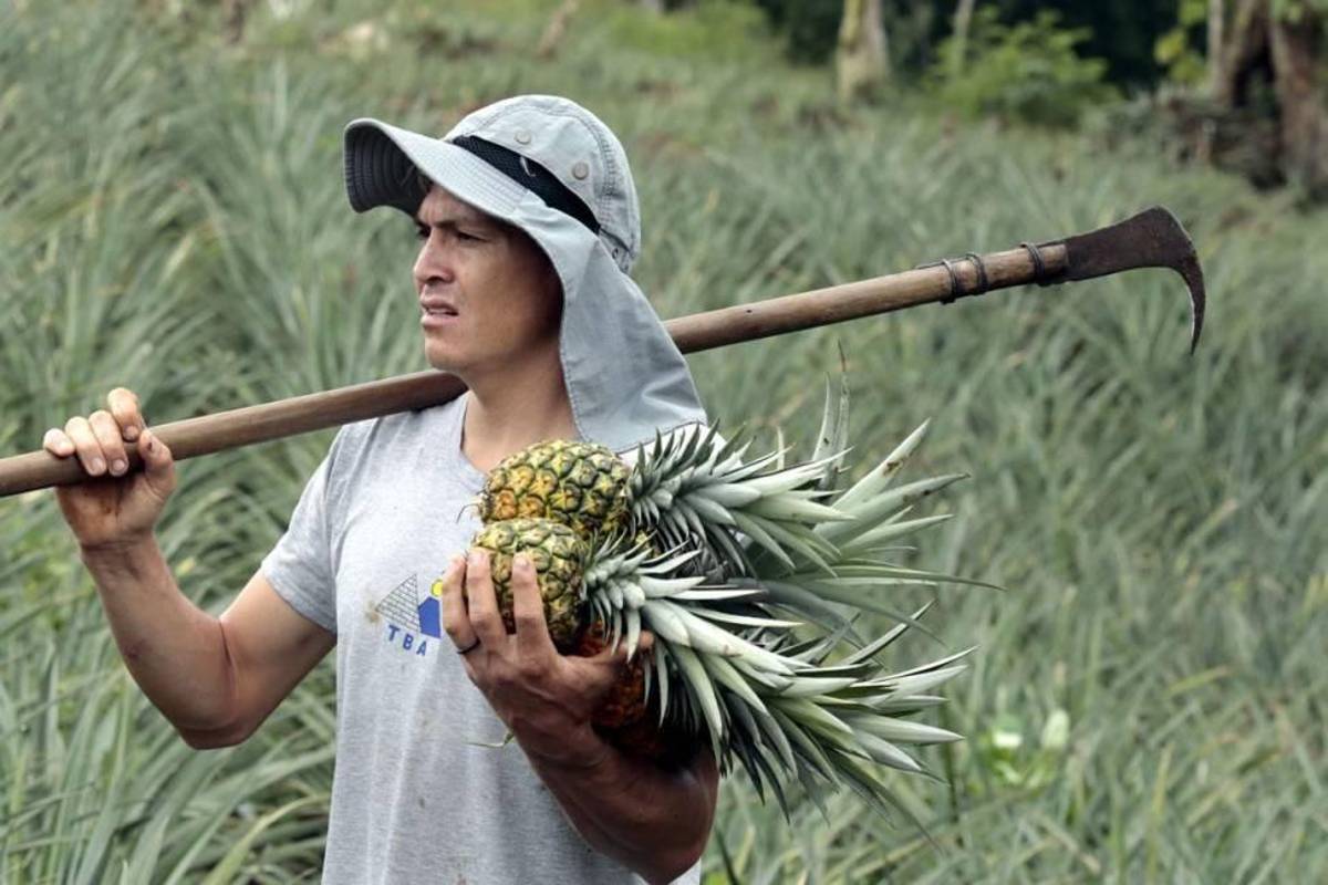 Chelito Martínez y su evolución con Marathón hasta disputar su primera ...