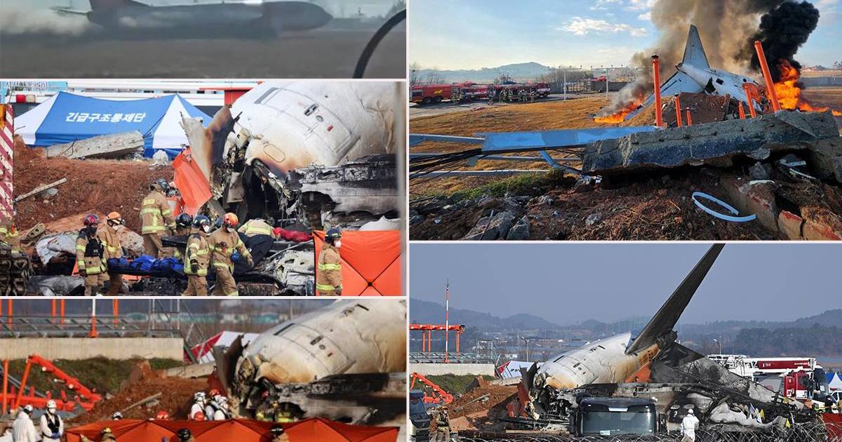 Tragedia en Corea del Sur: 179 muertos tras estrellarse un avión y la presunta causa del ...