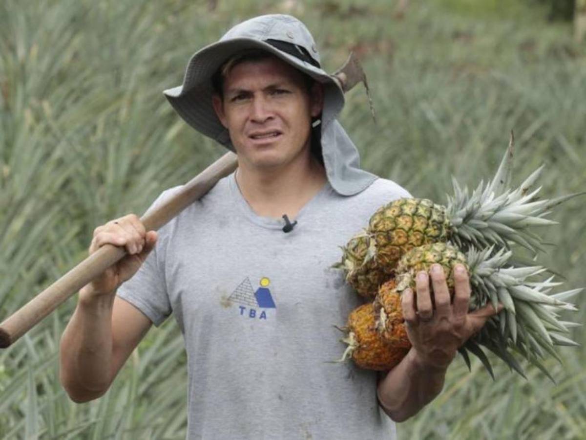 Chelito Martínez y su evolución con Marathón hasta disputar su primera ...