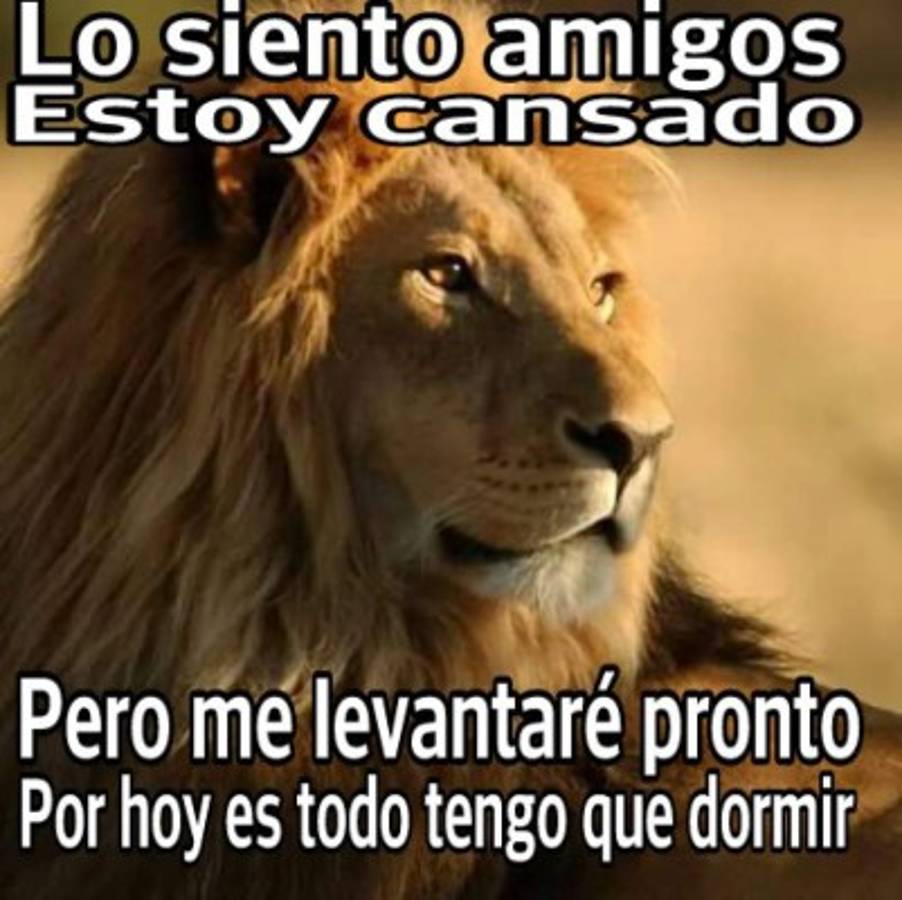 Los memes que dejó el Seattle Sounders-Olimpia